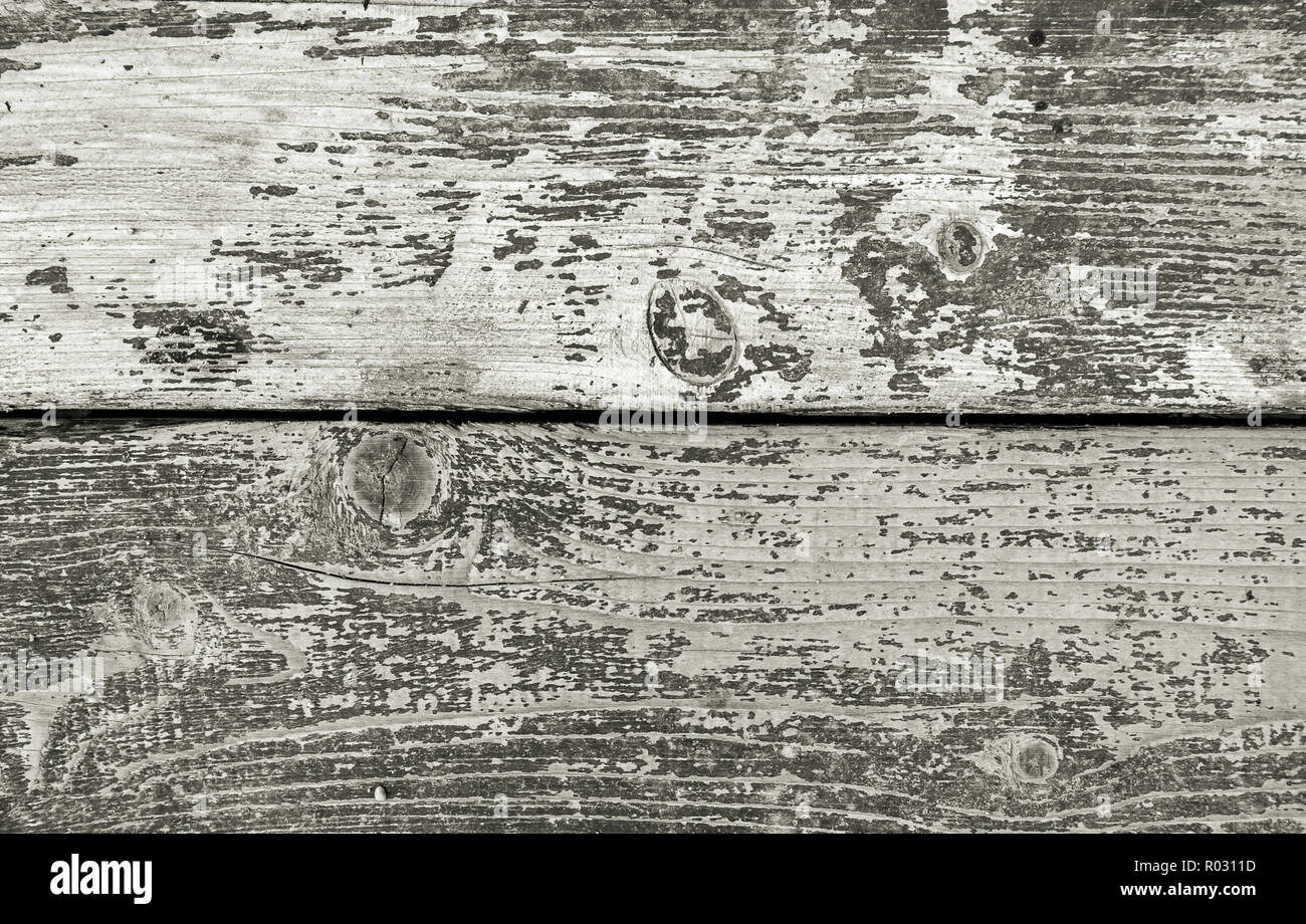 the texture of the painted shabby wooden flooring made of boards, close ...