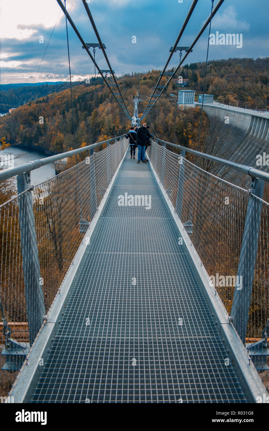 Titan RT suspension bridge in Harz Mountains National Park, Germany ...