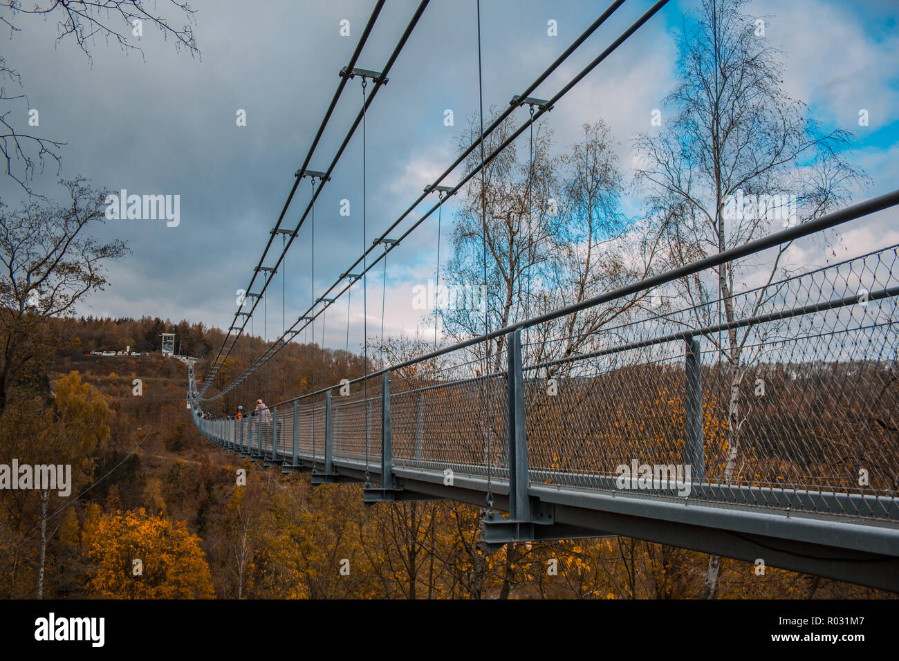Titan RT suspension bridge in Harz Mountains National Park, Germany ...