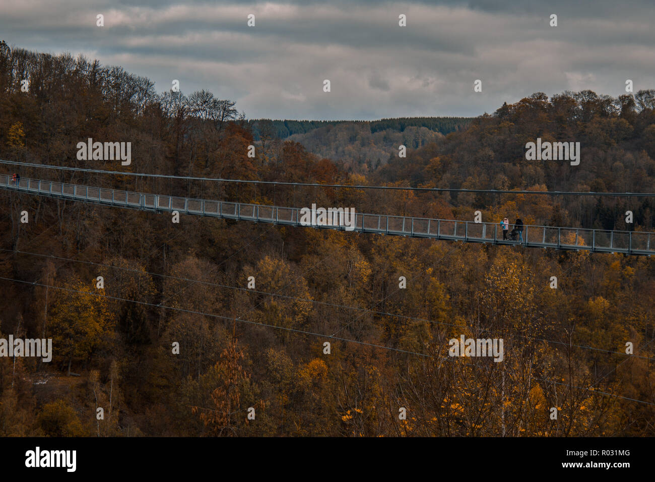 Titan RT suspension bridge in Harz Mountains National Park, Germany ...