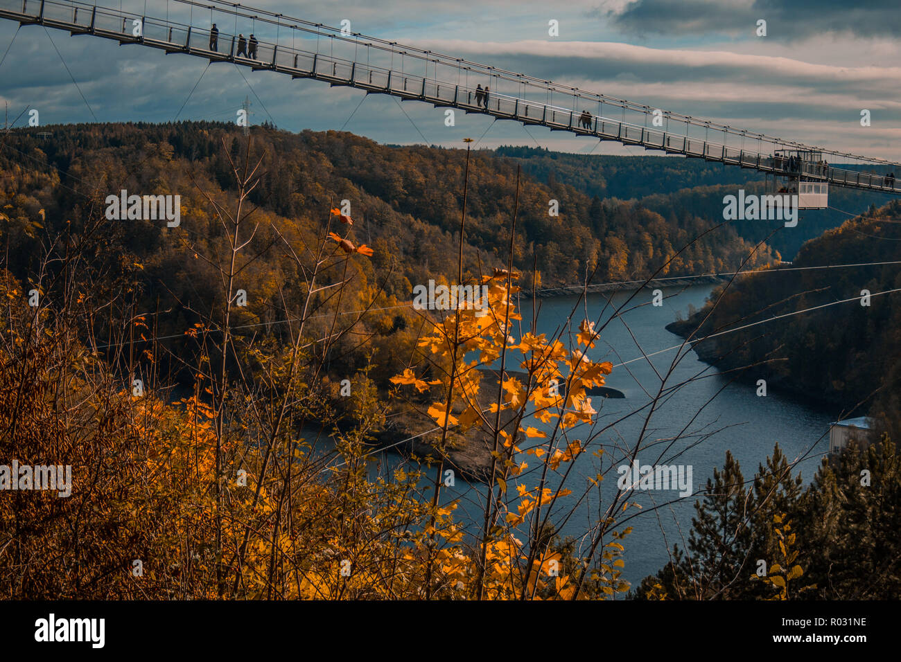Titan RT suspension bridge in Harz Mountains National Park, Germany ...