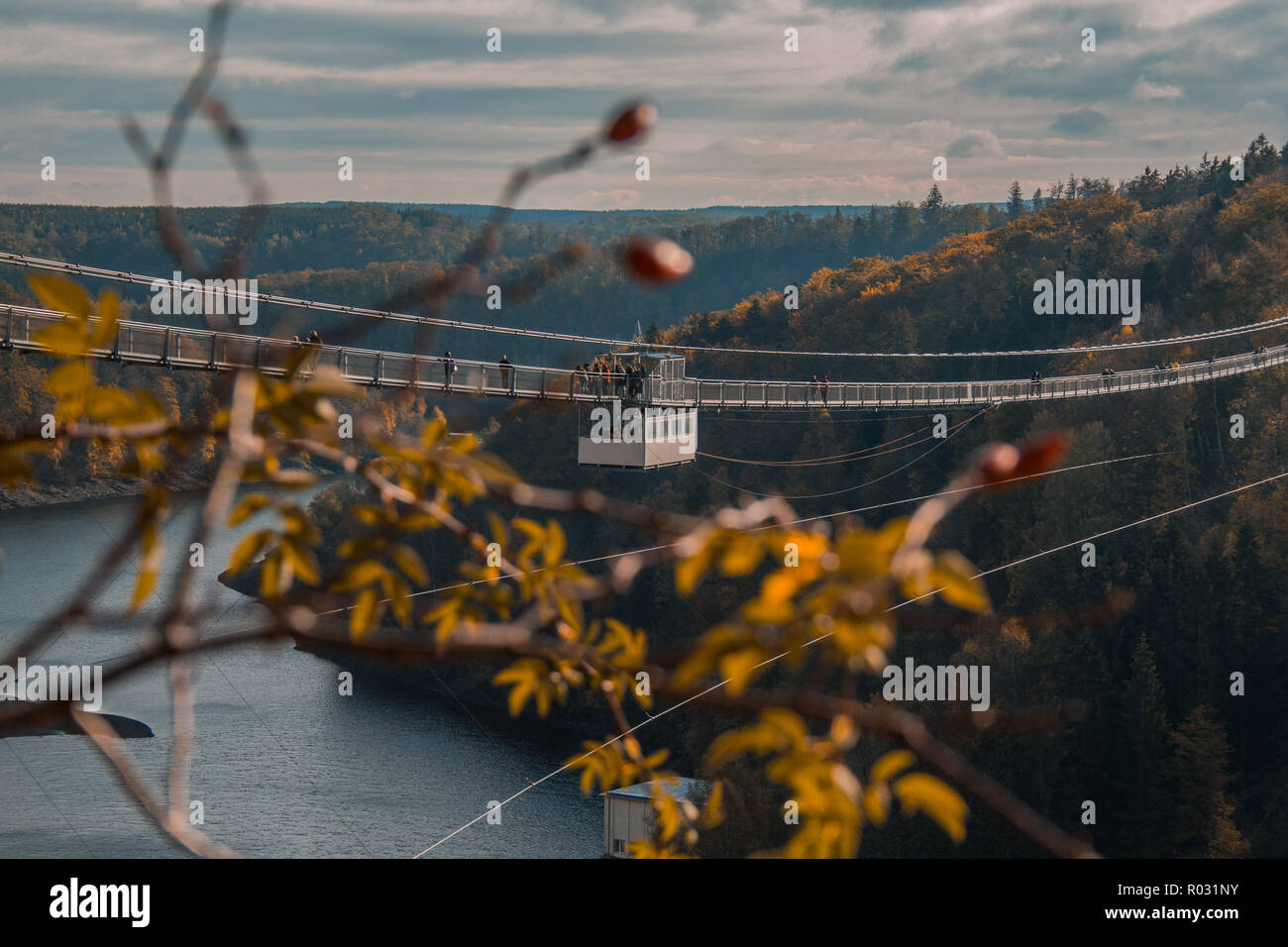 Titan RT suspension bridge in Harz Mountains National Park, Germany ...