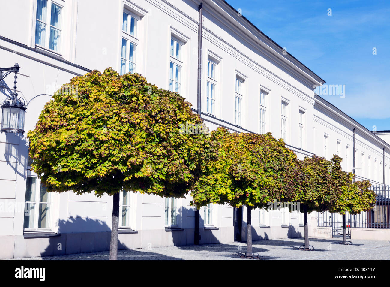 Small leafy trees by an old white building Stock Photo - Alamy