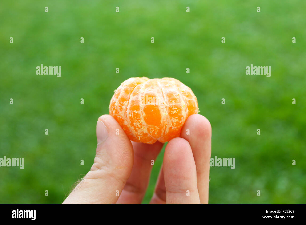 Person holding one peeled tangerine in hand. Tropical food mandarin on ...