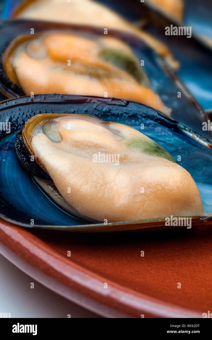 Steamed mussels close-up. With shell on clay plate Stock Photo - Alamy