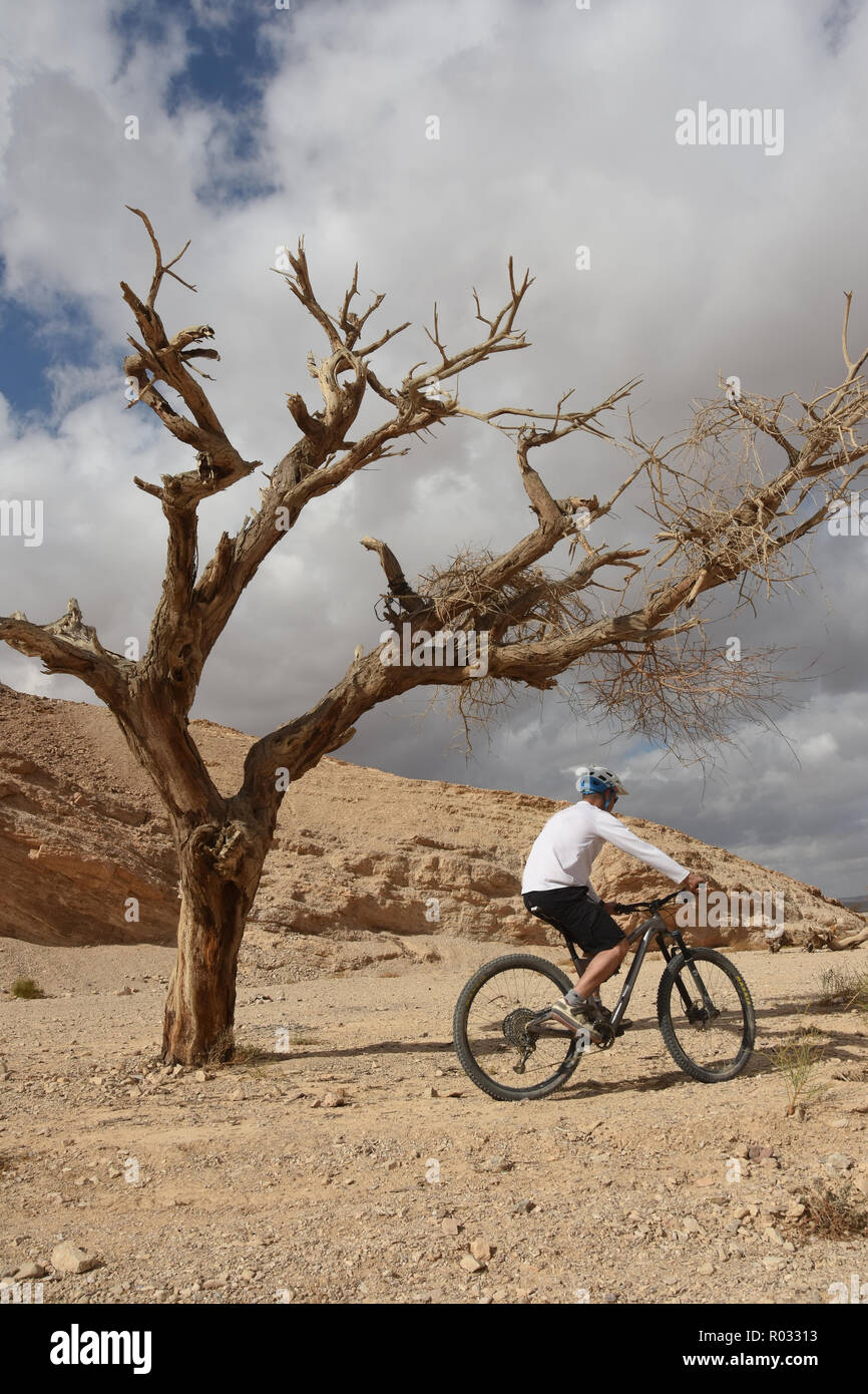 Desert biking hi-res stock photography and images - Alamy