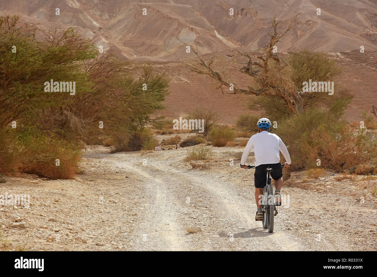 Desert cycle track hi-res stock photography and images - Alamy