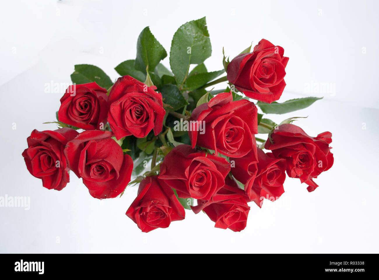 Dozen red roses bouquet hi-res stock photography and images - Alamy