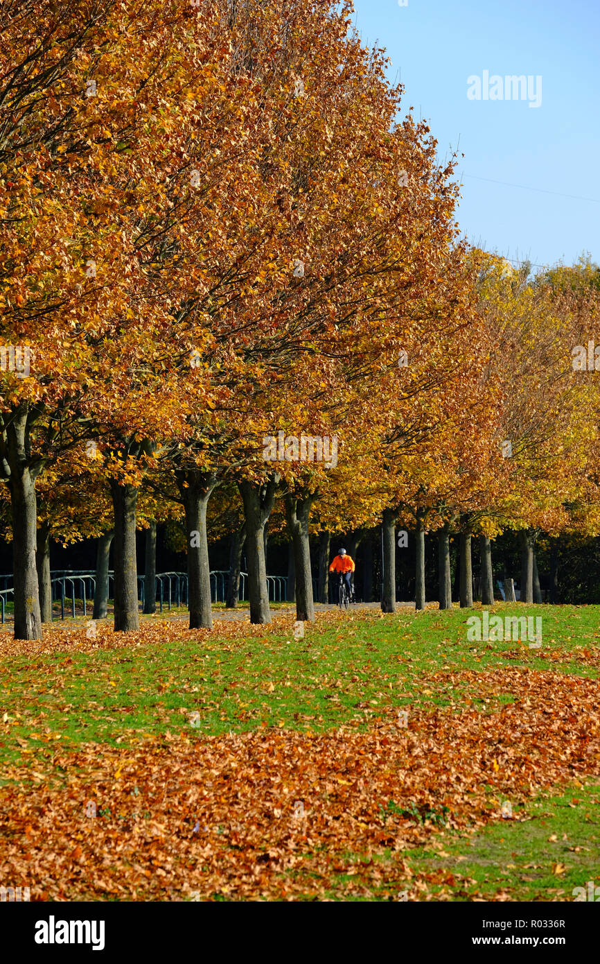 Becton hi-res stock photography and images - Alamy