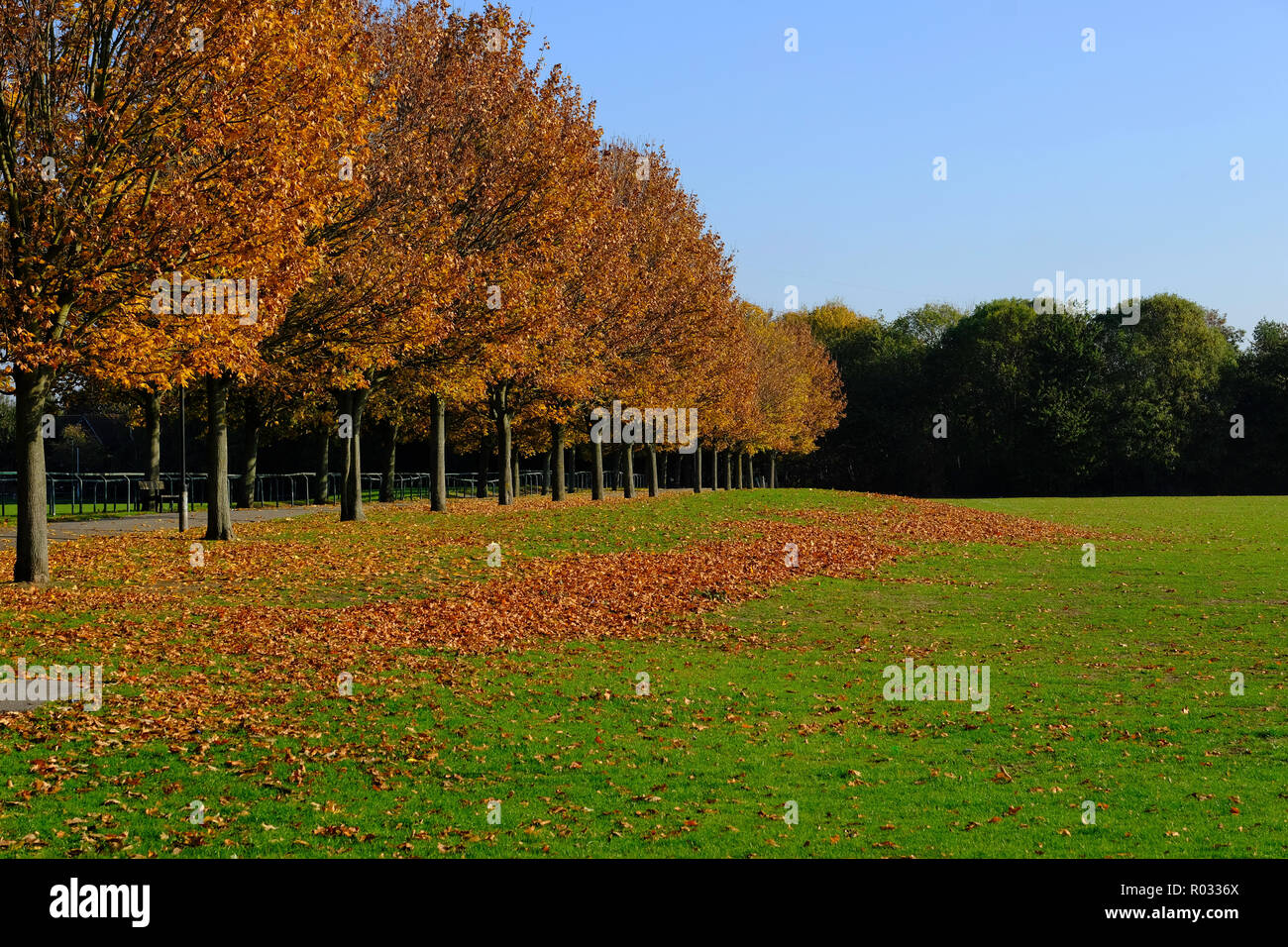 Becton hi-res stock photography and images - Alamy
