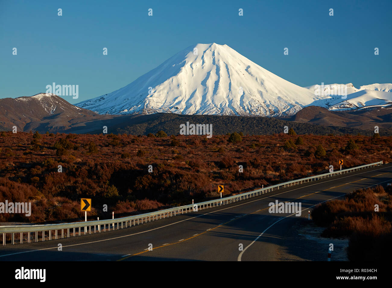 New Zealand Desert