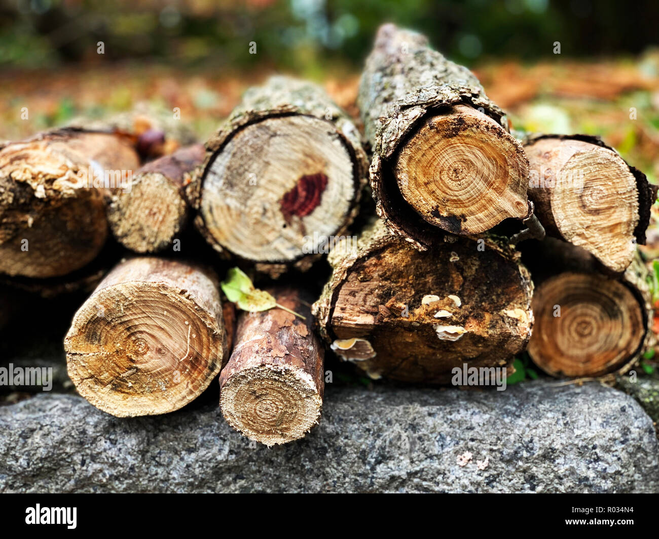 Logs, Deforestation, Logging Stock Photo - Alamy