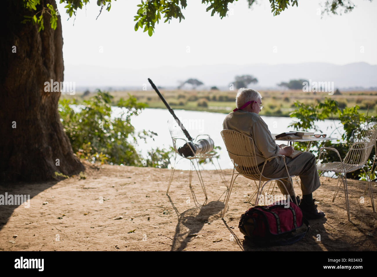 Man sitting under tree reading hi-res stock photography and images - Alamy