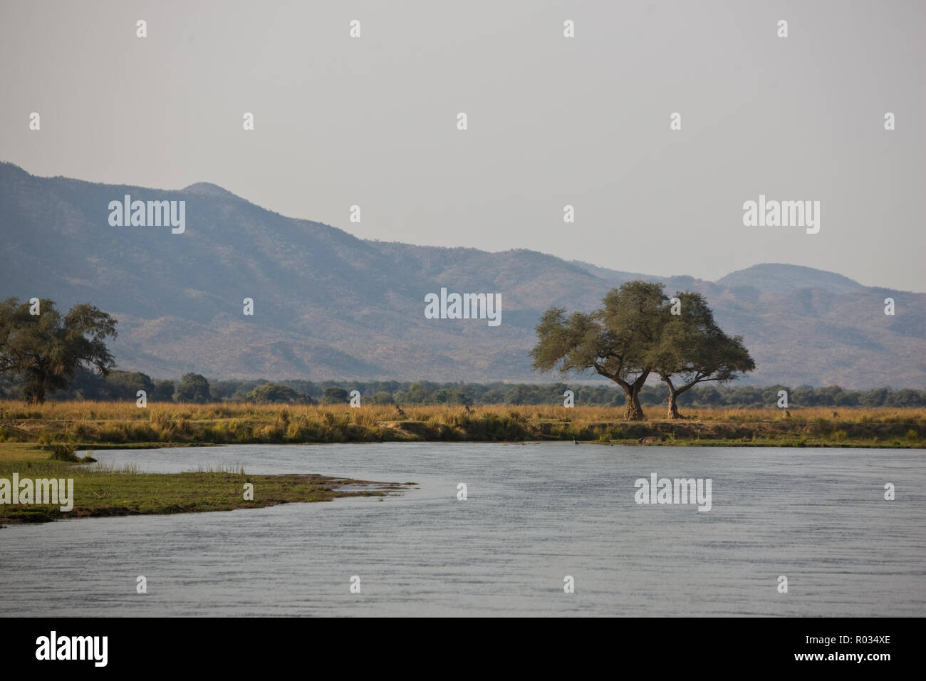 River with surrounding vegetation and mountains Stock Photo - Alamy