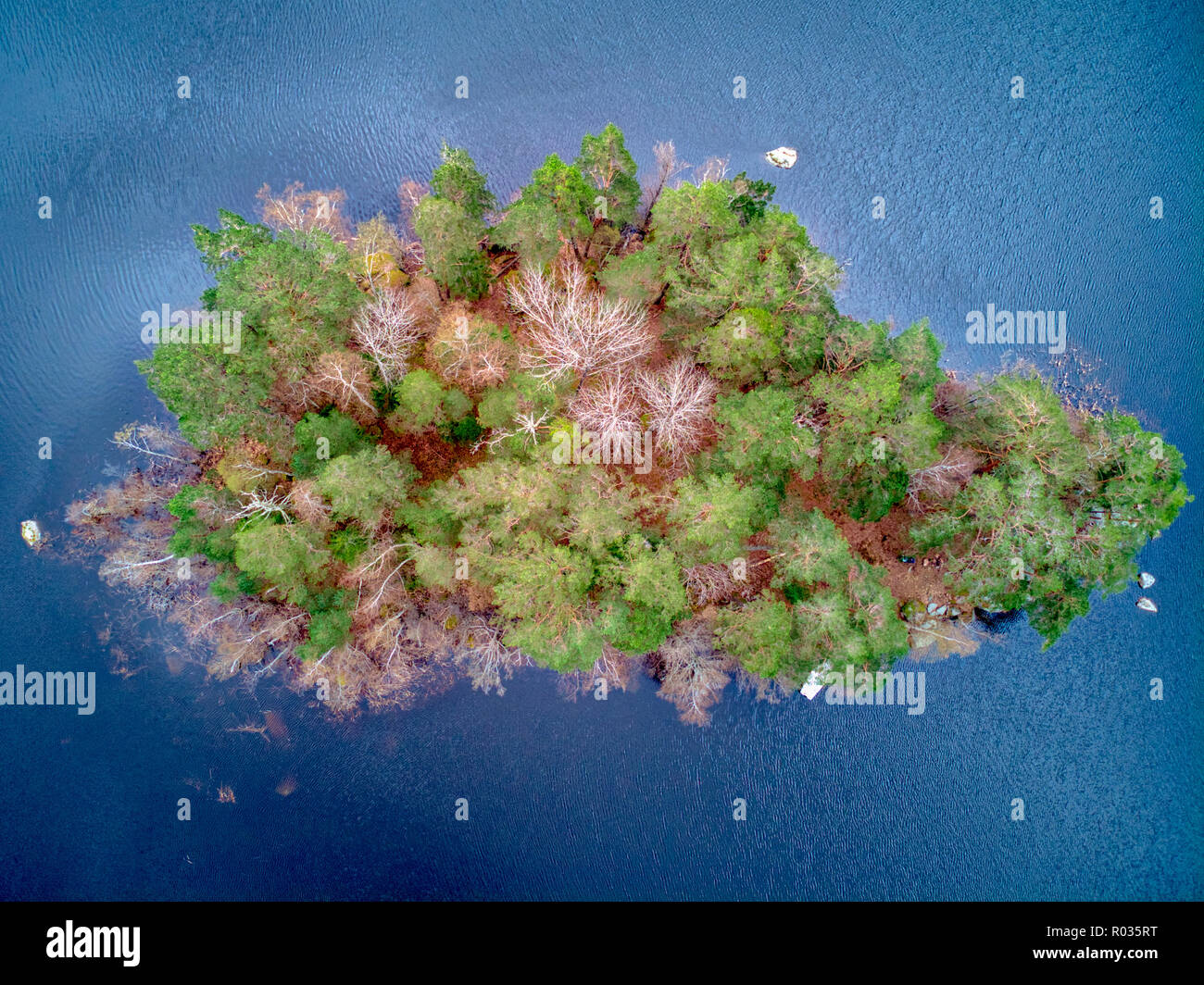 the leaves are turning yellow and red in the landscape Stock Photo - Alamy