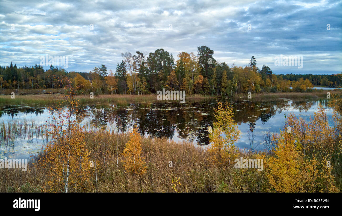 the leaves are turning yellow and red in the landscape Stock Photo - Alamy
