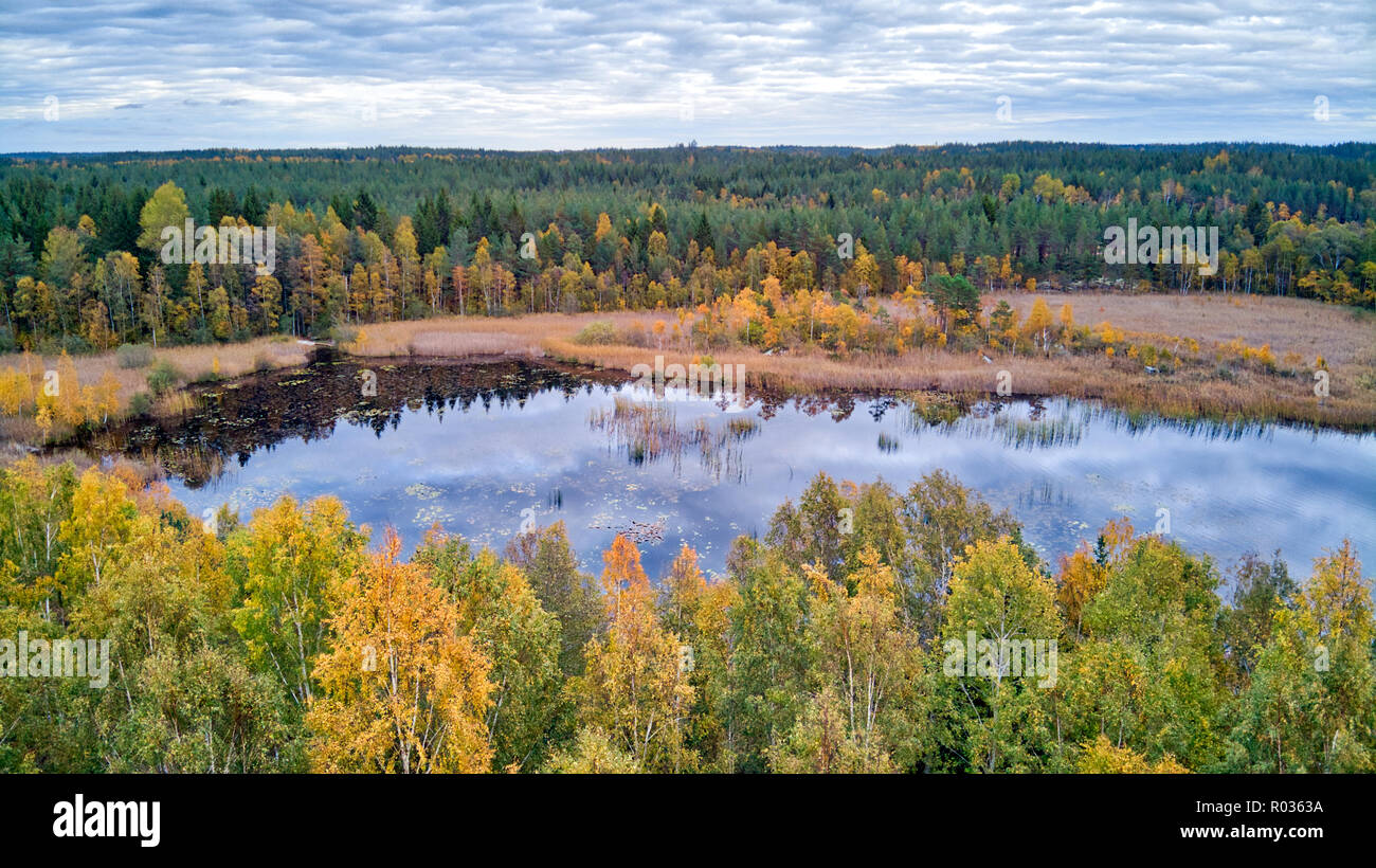 the leaves are turning yellow and red in the landscape Stock Photo - Alamy