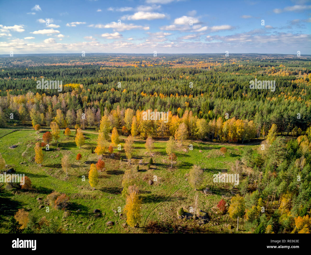 the leaves are turning yellow and red in the landscape Stock Photo - Alamy