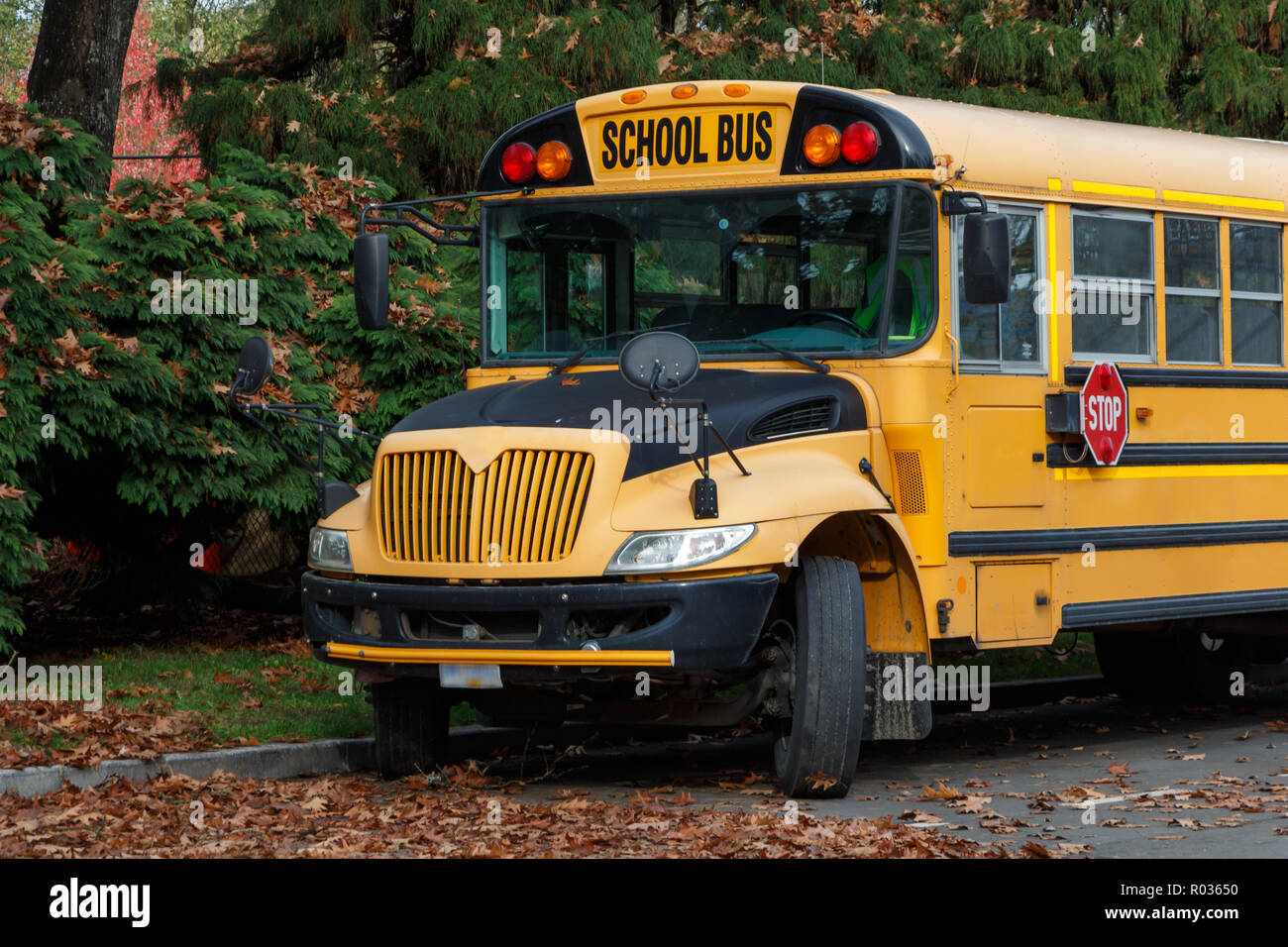 Yellow school bus american transport hi-res stock photography and ...