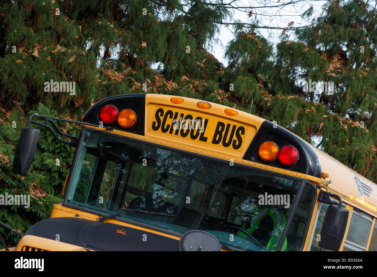 Abstract angle of a North American school bus Stock Photo - Alamy