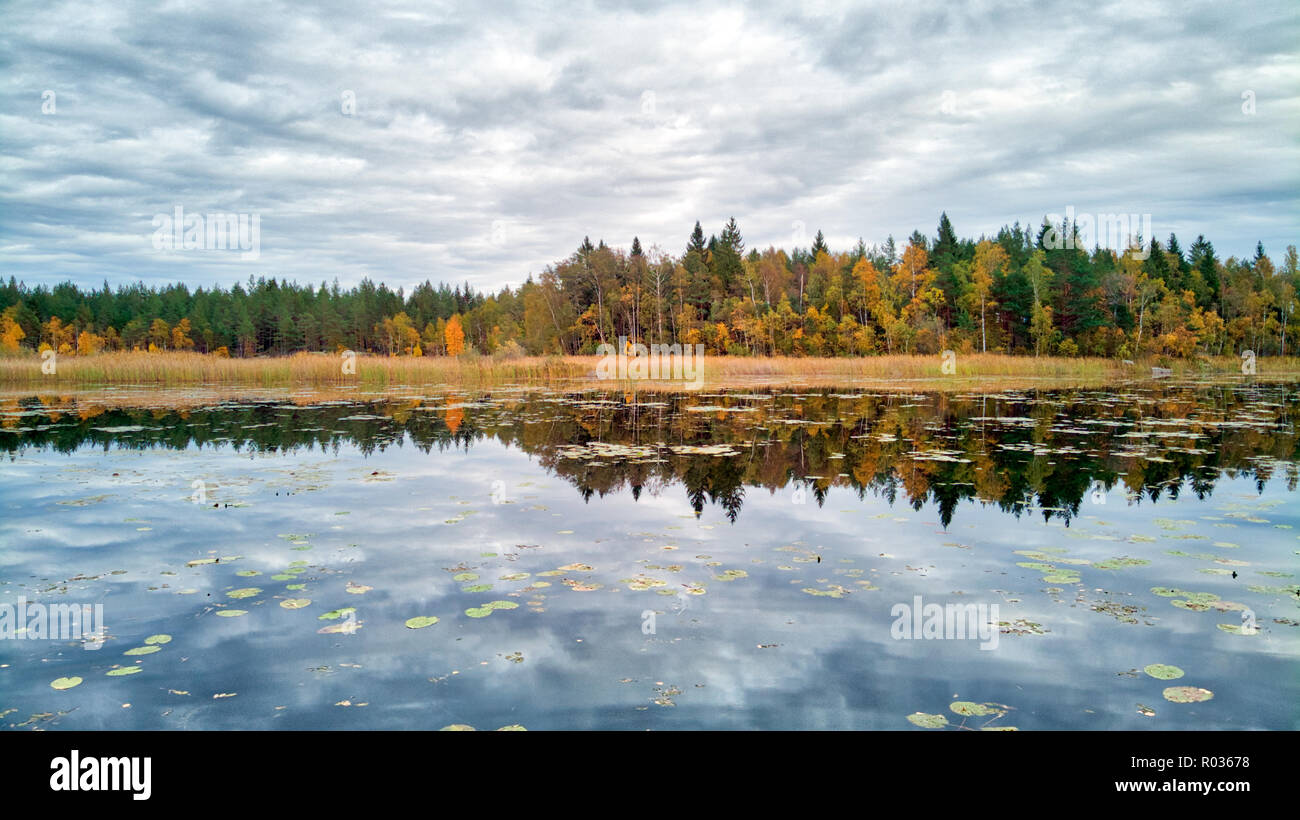 the leaves are turning yellow and red in the landscape Stock Photo - Alamy