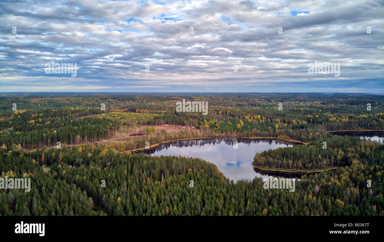 the leaves are turning yellow and red in the landscape Stock Photo - Alamy
