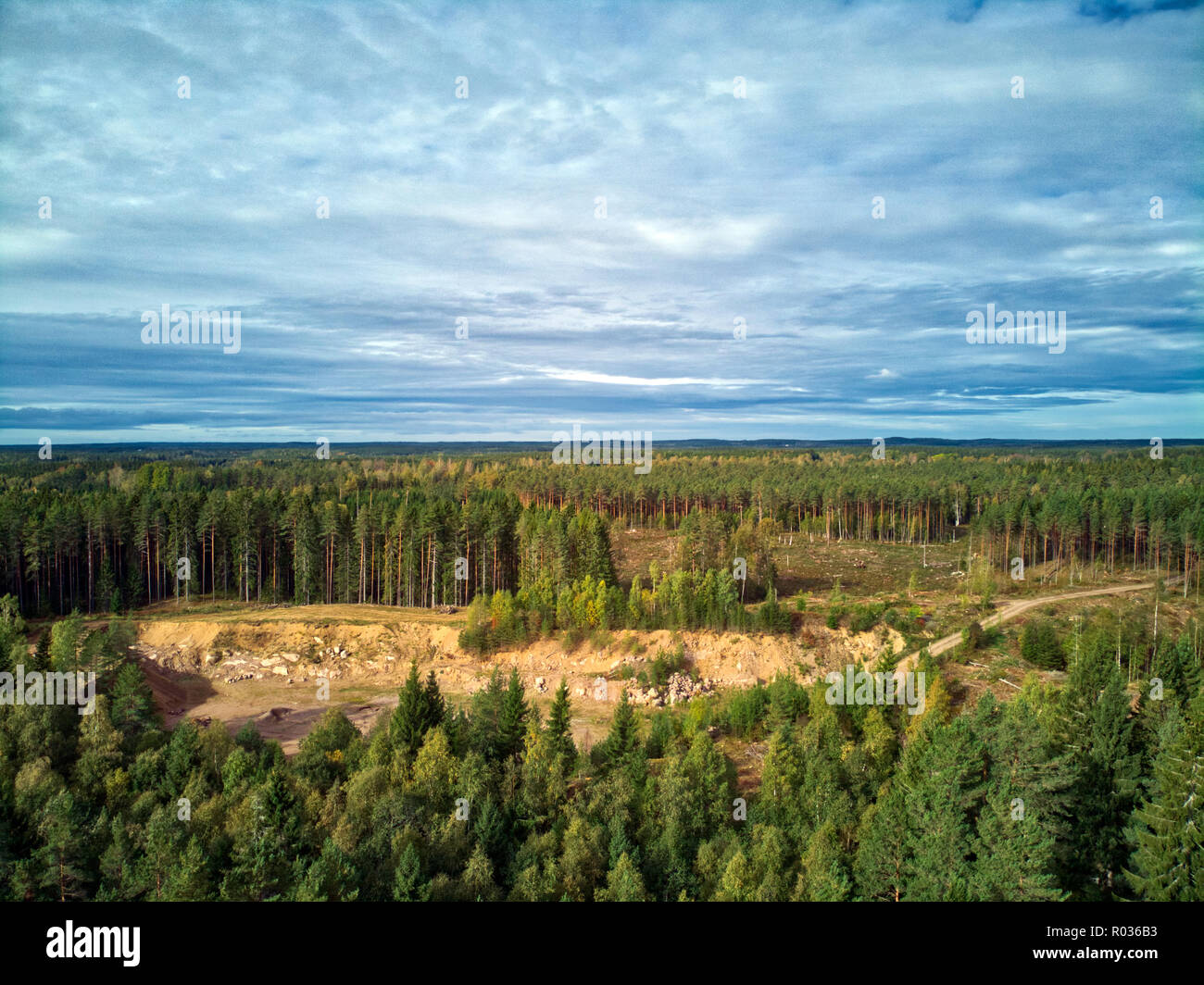 the leaves are turning yellow and red in the landscape Stock Photo - Alamy