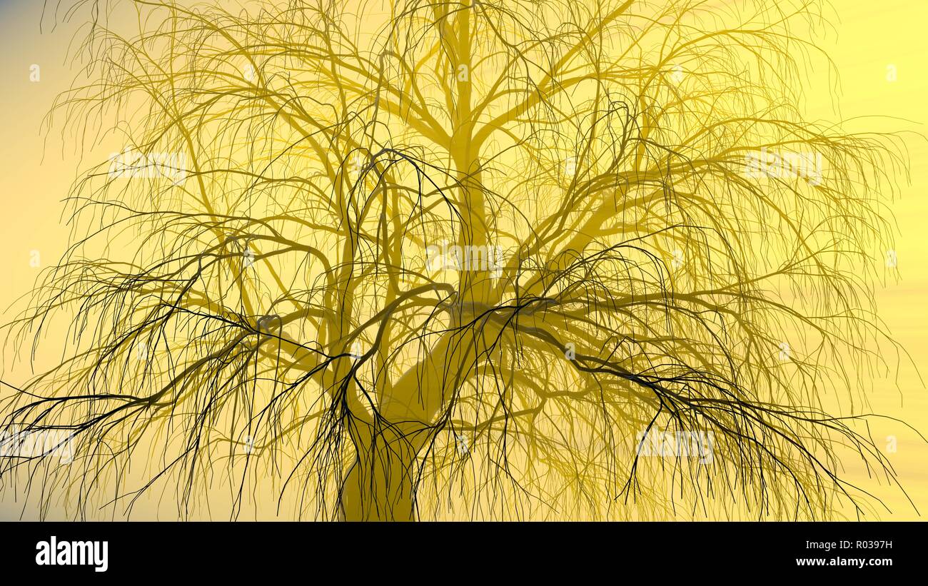 Lonely tree without leaves in fog or mist lit by bright orange sun god ...