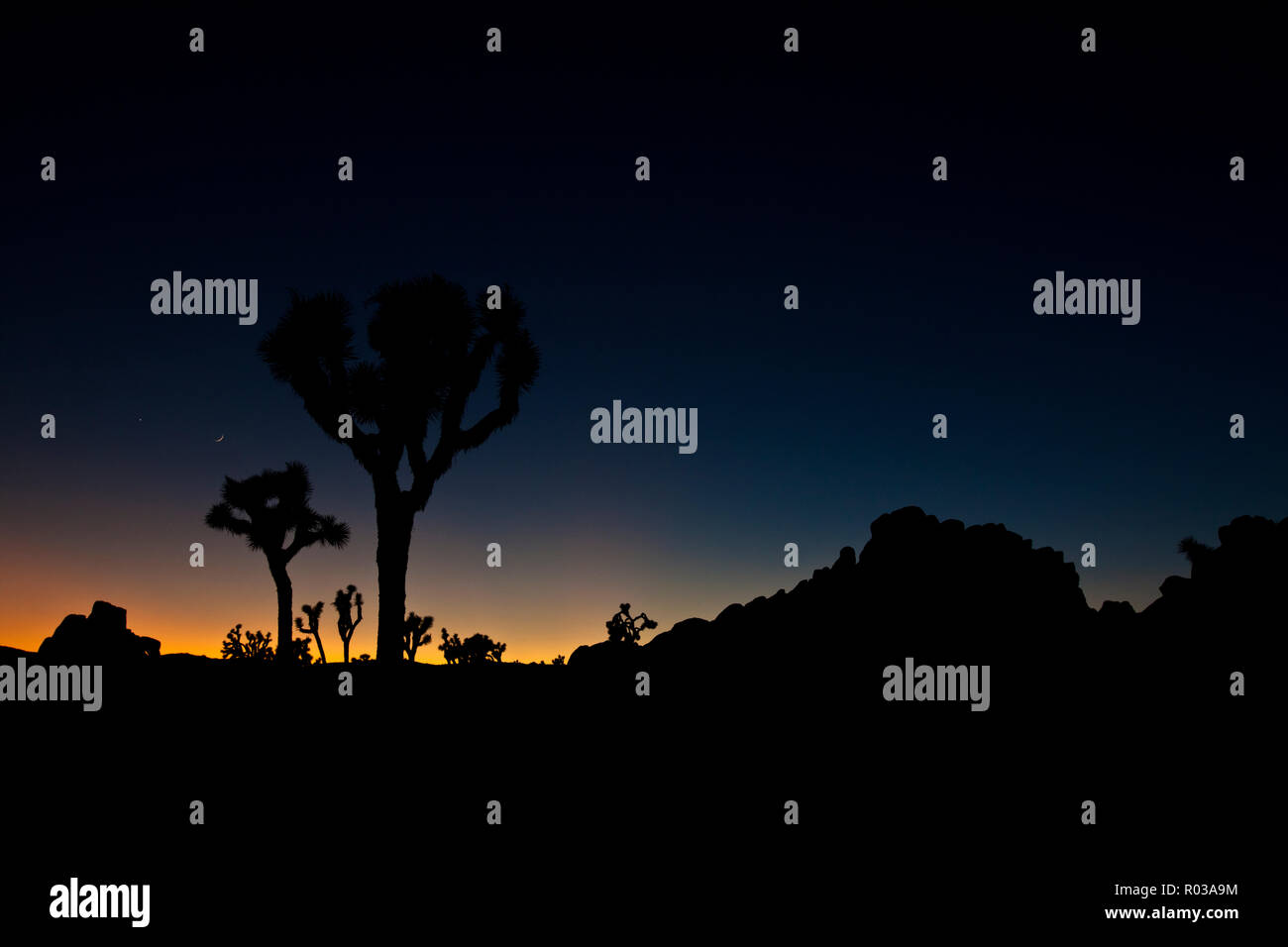 Backlit view of night sky over horizon of cliff and trees Stock Photo ...