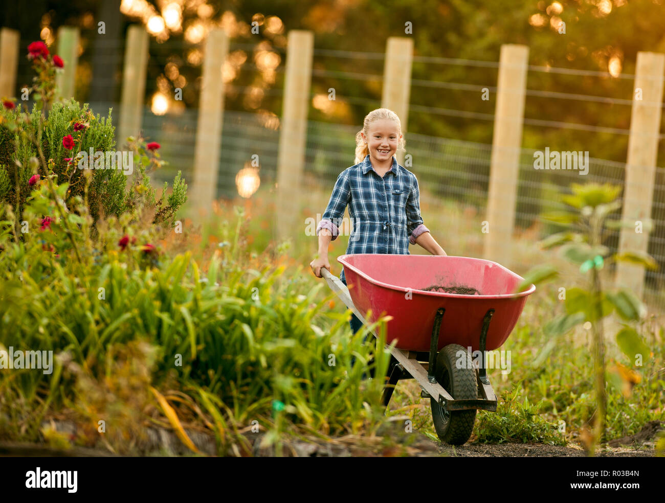 Children pushing wheelbarrows hi-res stock photography and images - Alamy
