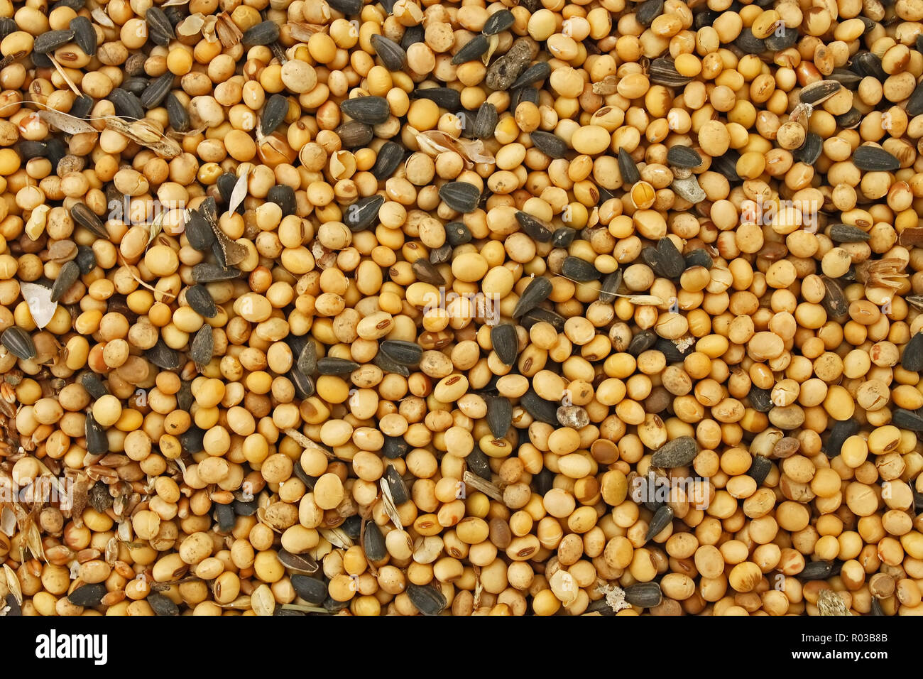 Fodder blends for domestic animals from soybean and sunflower seeds ...