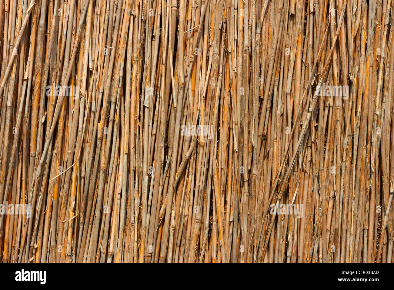 Fragment of reed fence as a texture Stock Photo - Alamy