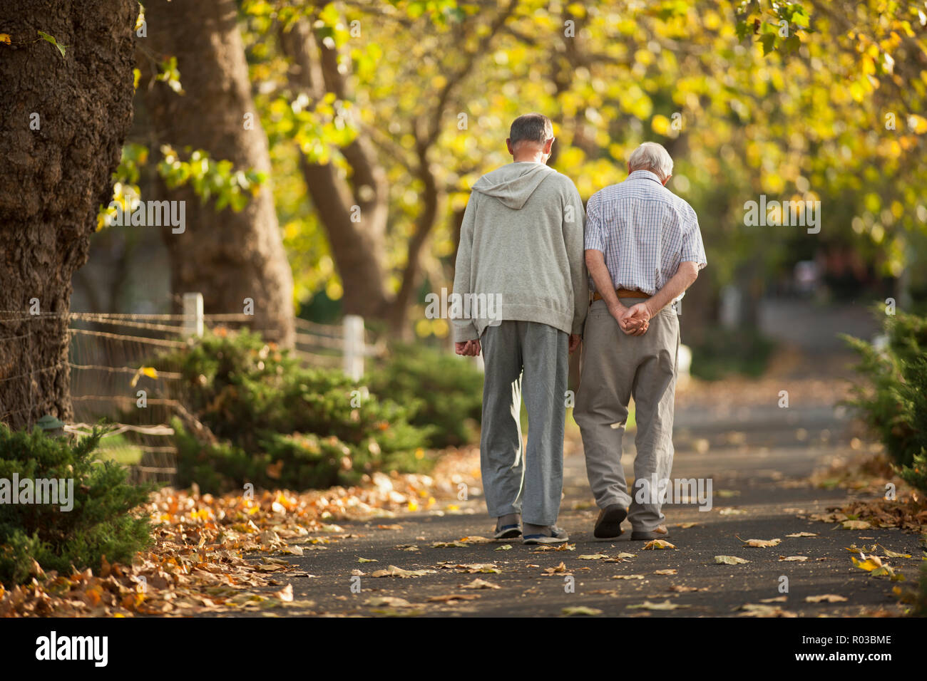 Two senior men having a discussion while walking side by side through a ...