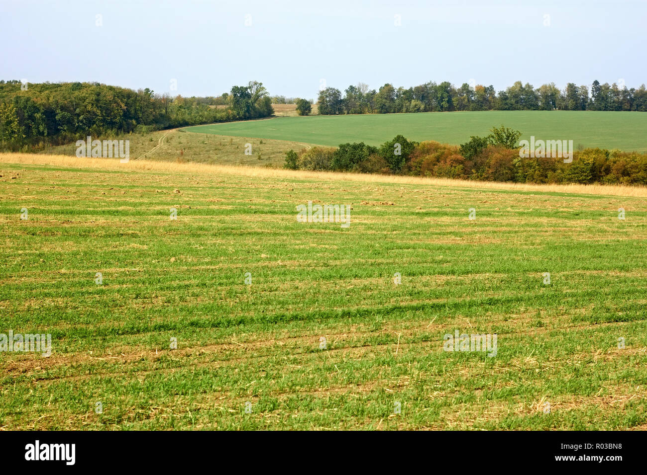 Rural landscape in early autumn. Fields, forest, sky Stock Photo - Alamy