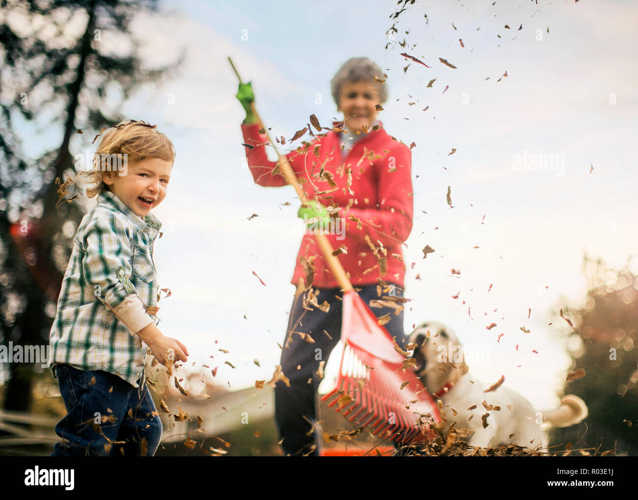 Child raking leaves hi-res stock photography and images - Alamy