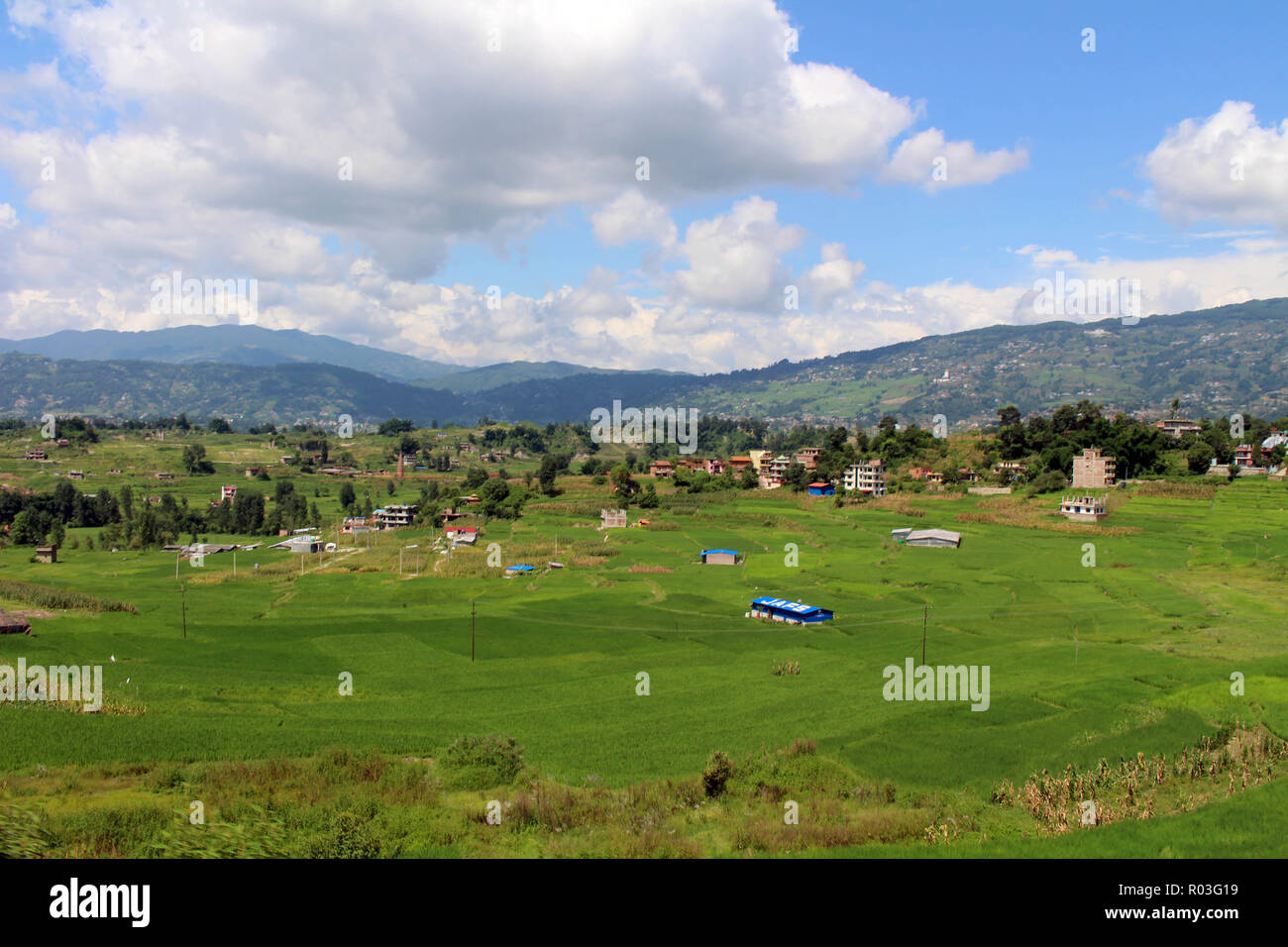 The ricefield around the highway between Dhulikhel and Kathmandu. Taken ...