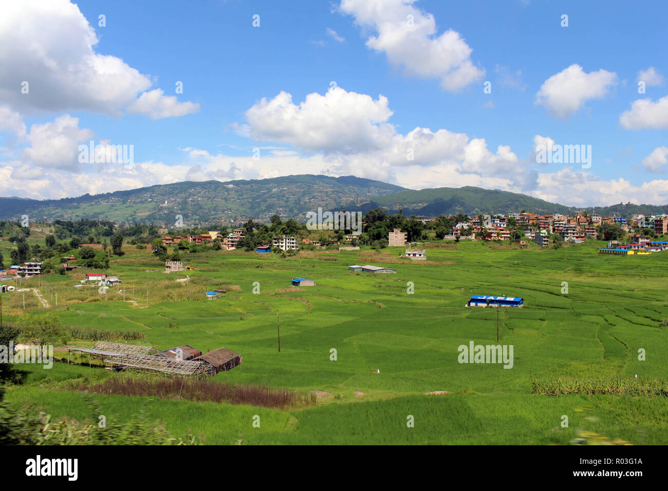 The ricefield around the highway between Dhulikhel and Kathmandu. Taken ...