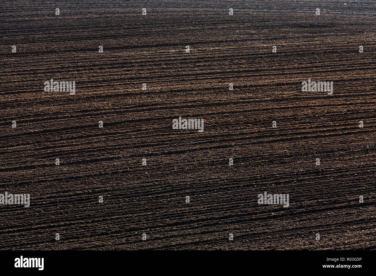 Black earth soil hi-res stock photography and images - Alamy