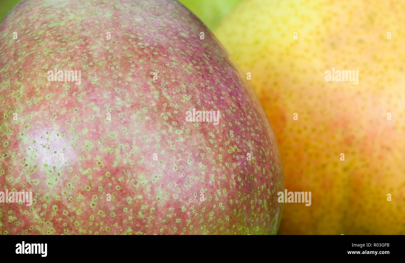 several varieties of pears of different colors, lie in the kitchen ...