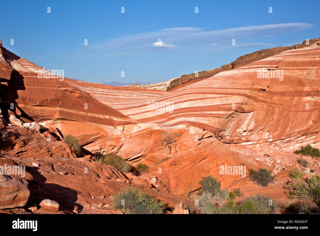 NV00063-00...NEVADA - The Fire Wave, a colorful layering of sandstone ...