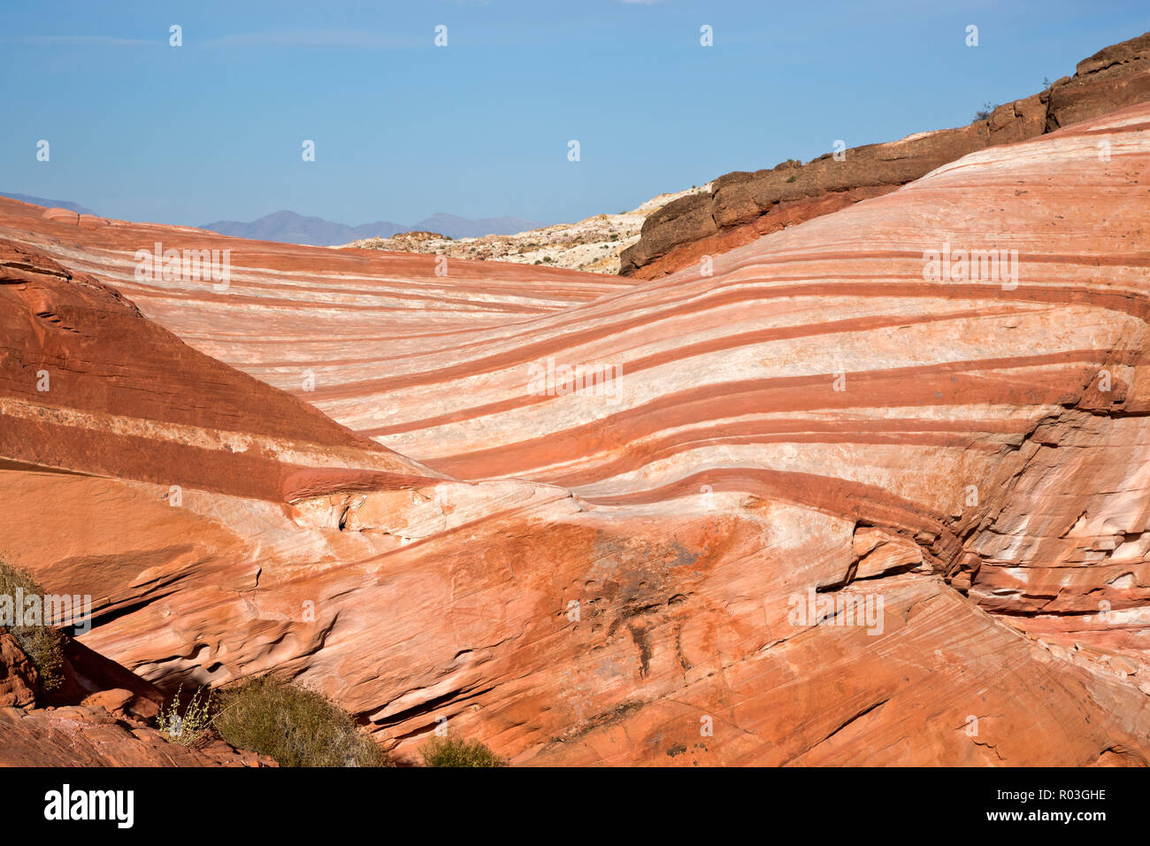 NV00064-00...NEVADA - The Fire Wave, a colorful layering of sandstone ...