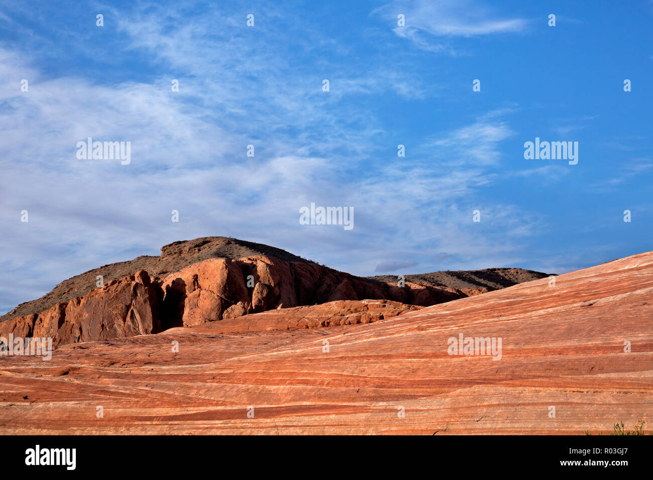 NV00066-00...NEVADA - The base of The Fire Wave, a colorful layering of ...