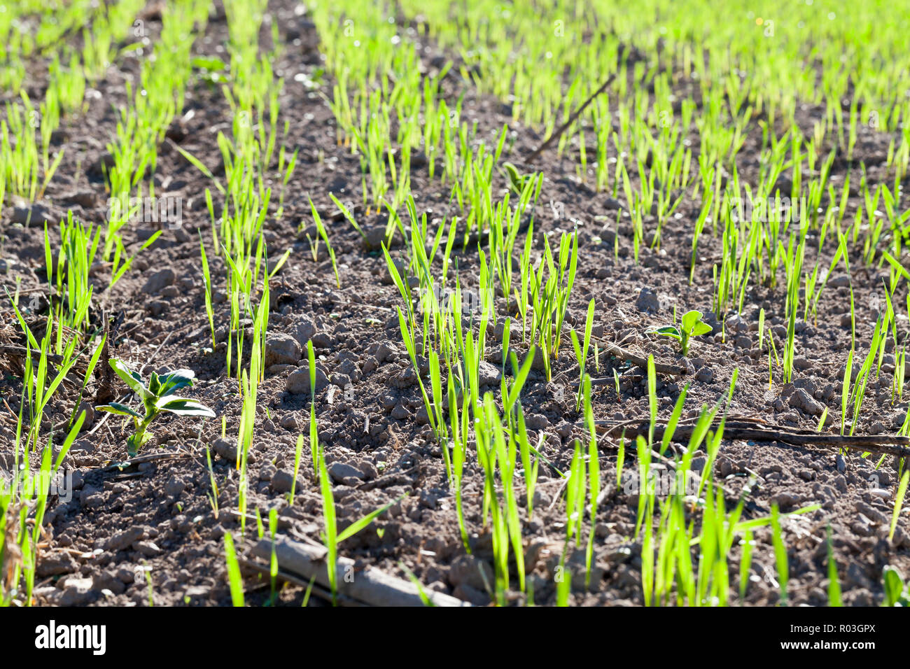 Close up young industrial hi-res stock photography and images - Alamy