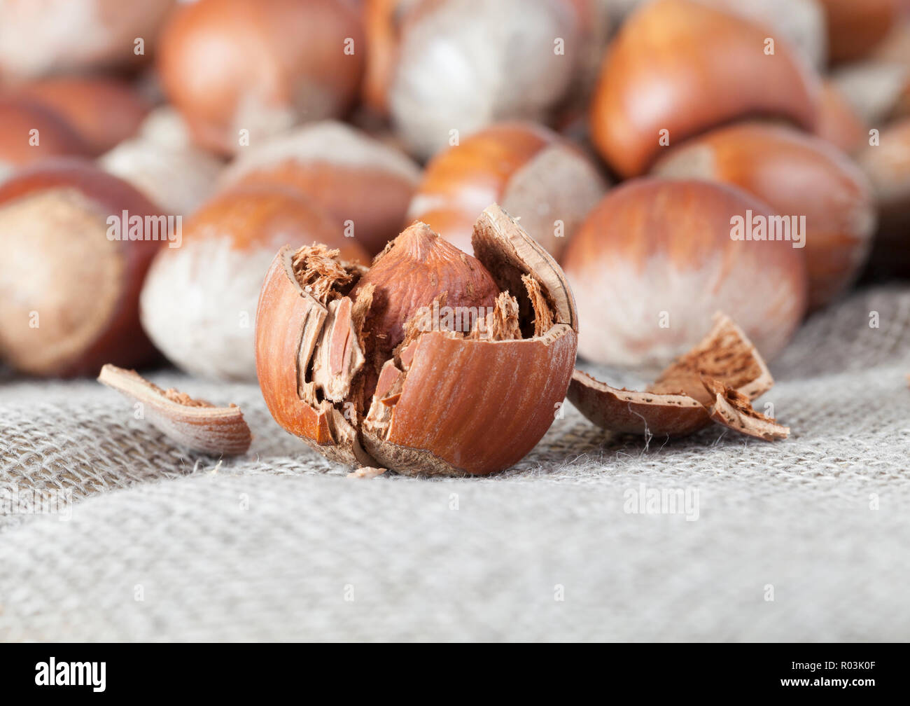 One nut hi-res stock photography and images - Alamy