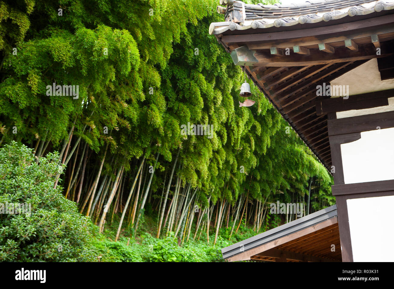Daeungjeon the main hall hi-res stock photography and images - Alamy