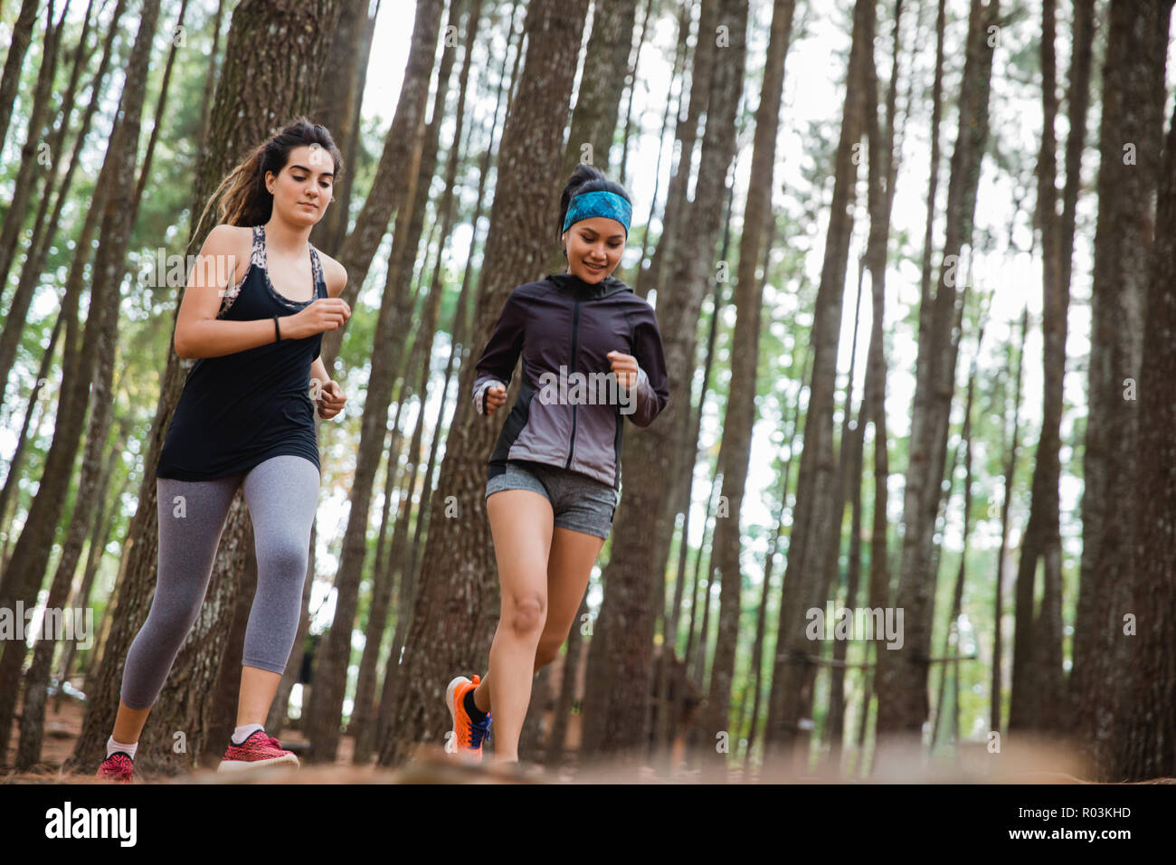 two sporty woman ran in the forest at summer Stock Photo - Alamy