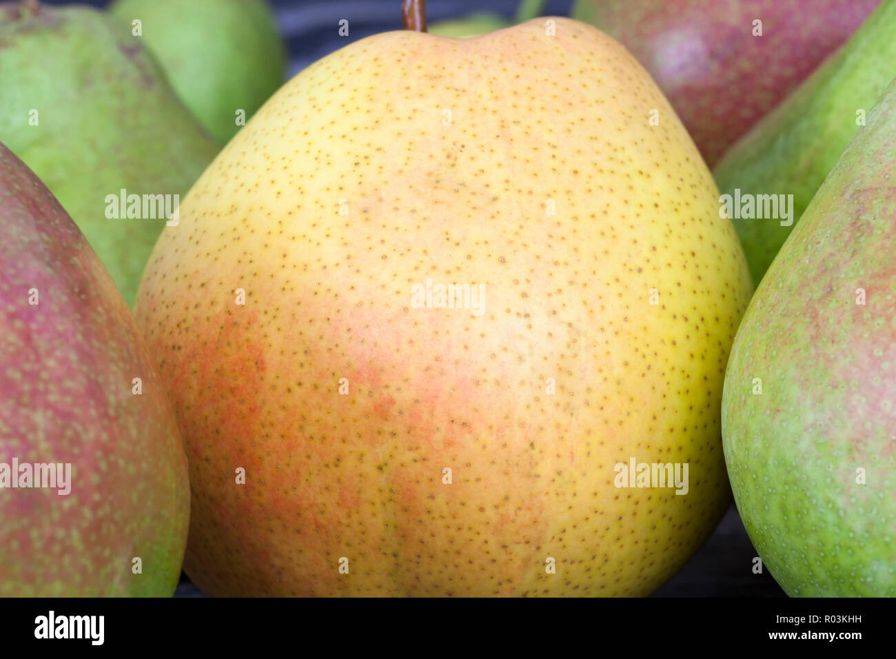 several varieties of pears of different colors, lie in the kitchen ...