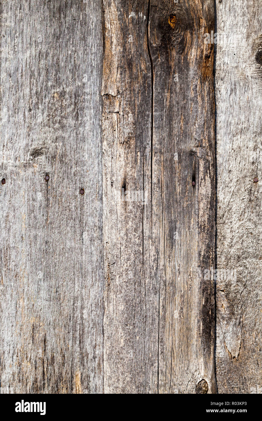 old rotting wooden planks, part of the wall of the building in the ...