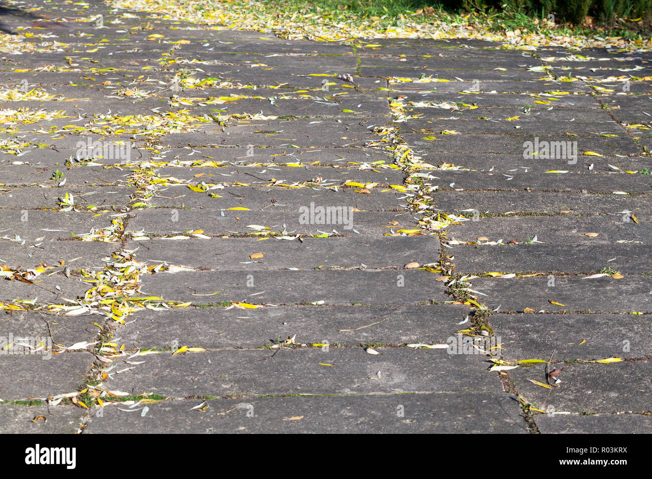 Lays paving slabs hi-res stock photography and images - Alamy
