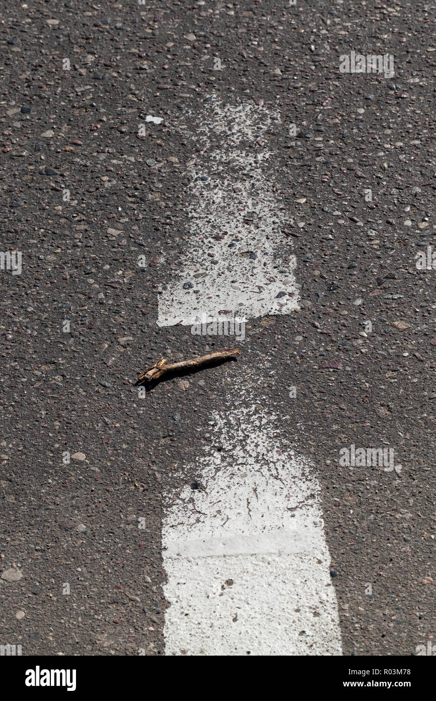 worn on the asphalt road the old white markings for traffic control ...